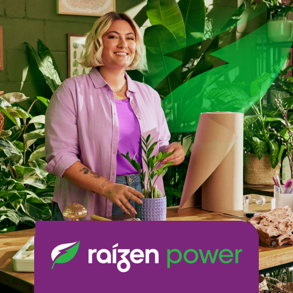 Raízen Power: economize com energia renovável sem instalar painéis solares